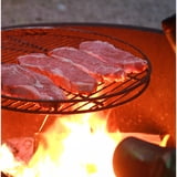 Insta-Fire 8P-CCBSO Charcoal Starter- 8 Pack - Walmart.com