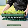 Vego Garden Seedling Popper Tool, 3-in-1 Plant & Pop Board - 10" x 20 ...