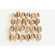 2 oz (100+) Natural White Gar Scales 1/2"-1 1/2" Taxidermy Crafts Fish ...