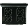 Element 30 Inch 4 Burners 5.2 cu. ft. Freestanding Gas Range, Stainless ...