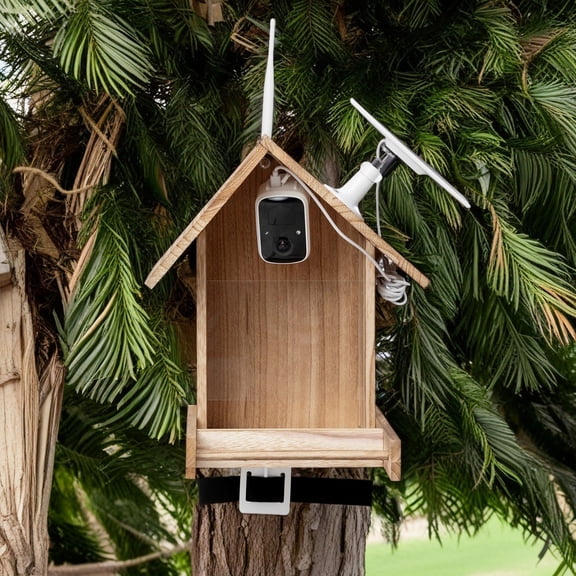 Birdfy Smart Bird Feeder, Solar-Powered Wireless Camera, 1080p Video ...