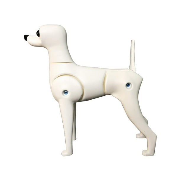 Fake Model Standard Dog Mannequin Display Mannequin for Pet Groomer ...