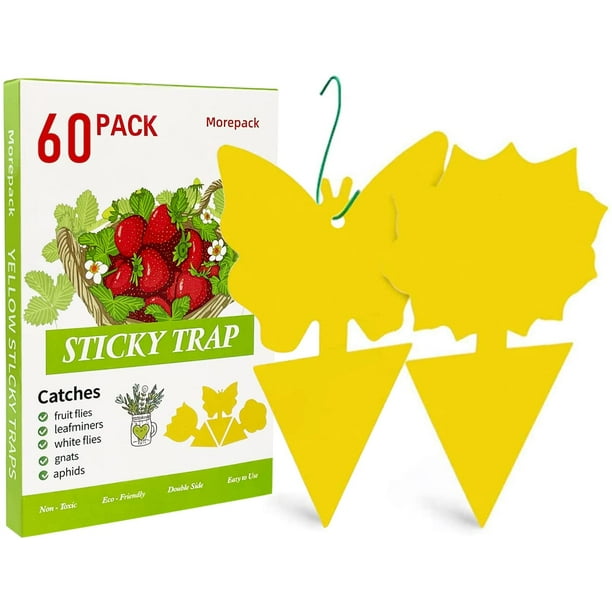 Fruit Fly Trap Indoor,60Pcs Sticky Fly Traps Outdoor, Dual-Sided Yellow ...