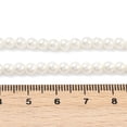 5Strand Round Shell Pearl Beads Strands Matte Surface Polished Seashell ...