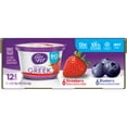 Dannon Light & Fit Greek Blended Nonfat Yogurt Strawberry & Blueberry 5 ...