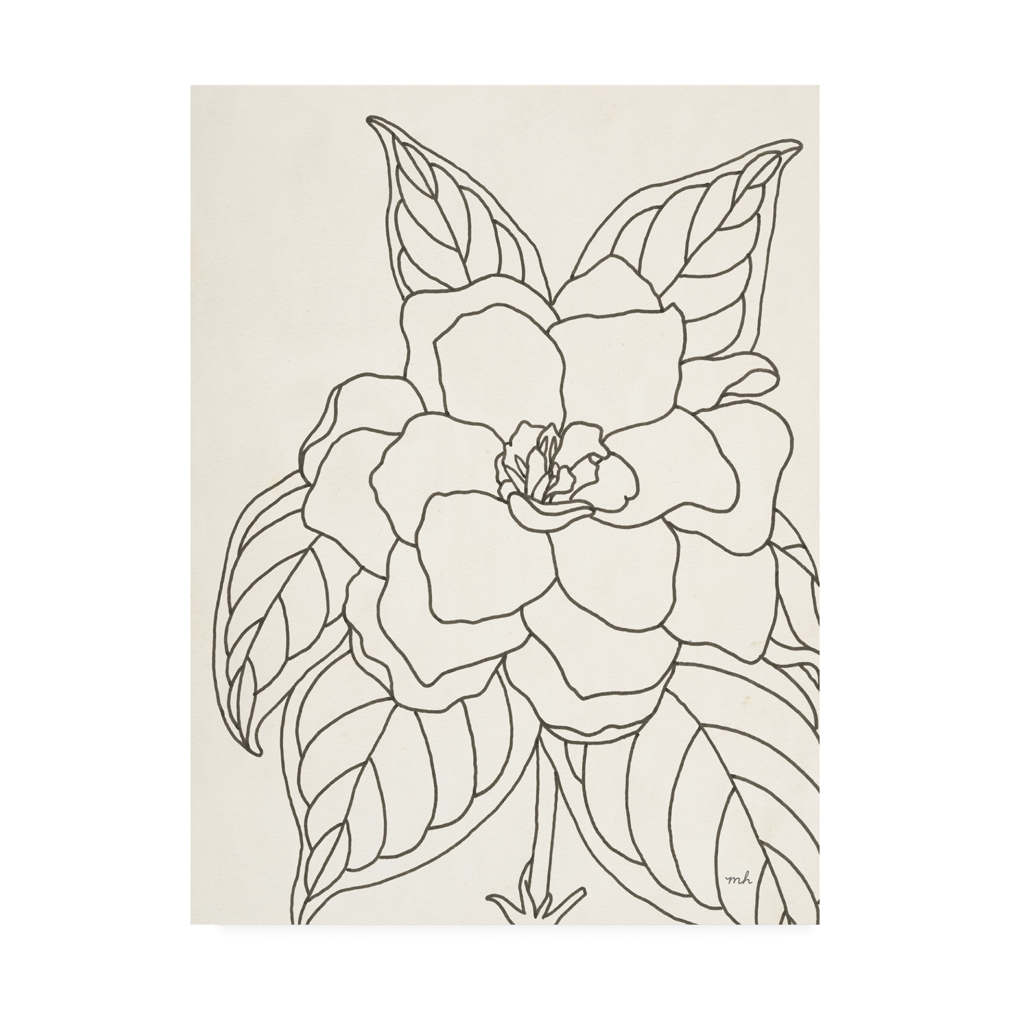 How To Draw A Gardenia Flower | Best Flower Site