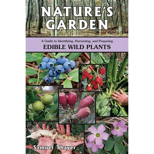 Nature's Garden : A Guide to Identifying, Harvesting, and Preparing ...