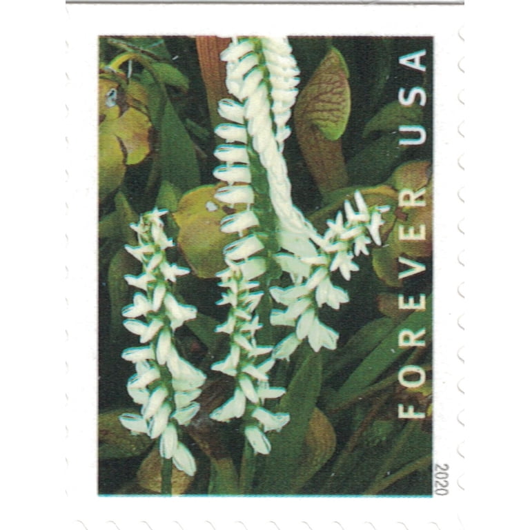 Forever Stamps Wild Orchids - Strip Of 10 First-Class Botanical Postage ...