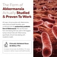 Triquetra Health AK-Postbio: Akkermansia Probiotic 30 Billion TFU ...