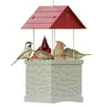 Infinity Bird Feeder - Wild Bird Feeder with 360 Degree View of Feeding ...