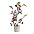 Premium Artificial Fruit Bonsai Tree Realistic Green Faux Plants Home ...