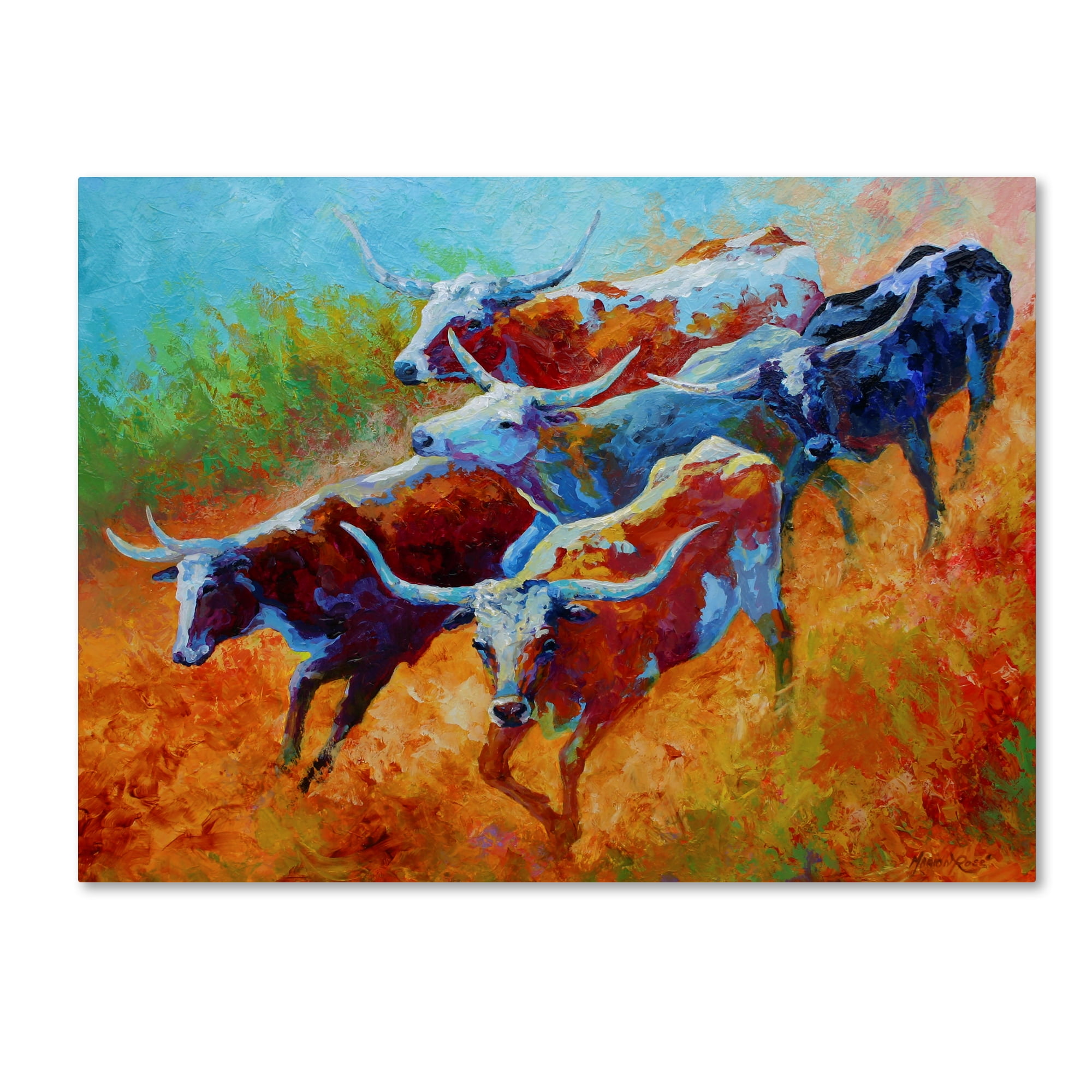 Trademark Fine Art 'Longhorns II' Canvas Art by Marion Rose - Walmart.com