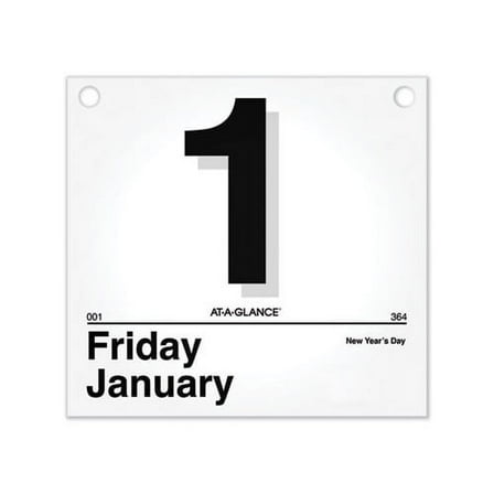 AT-A-GLANCE 2024 Daily Wall Calendar Refill, Large 8.5 x 8, for Today ...
