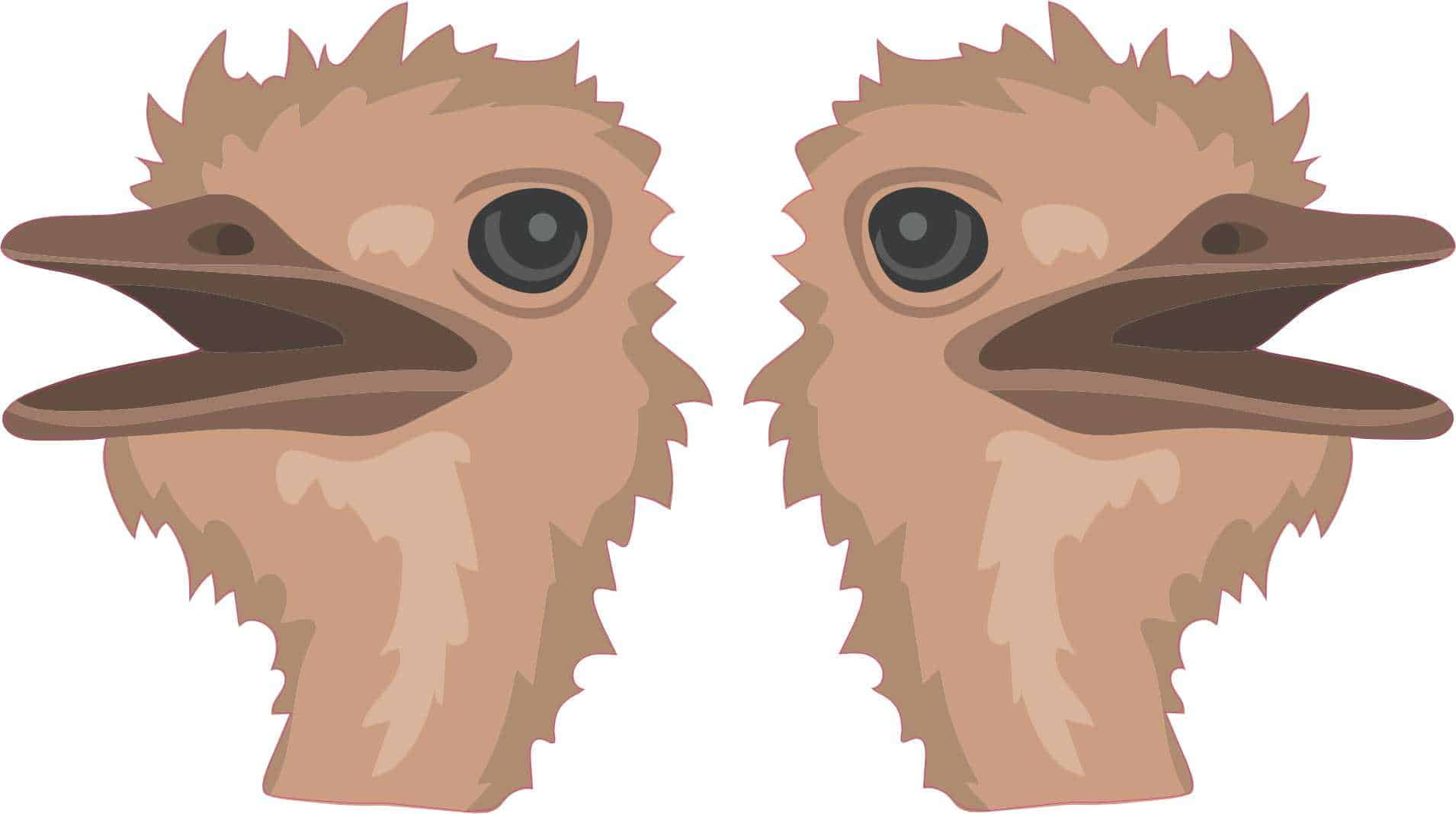 StickerTalk Ostrich Vinyl Stickers, 1 sheet of 2 stickers, 3 inches x 3 ...