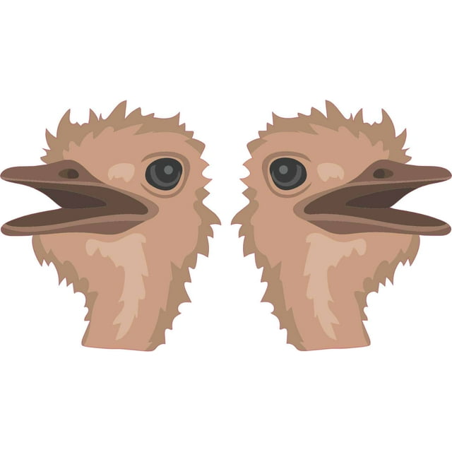 StickerTalk Ostrich Vinyl Stickers, 1 sheet of 2 stickers, 3 inches x 3 ...