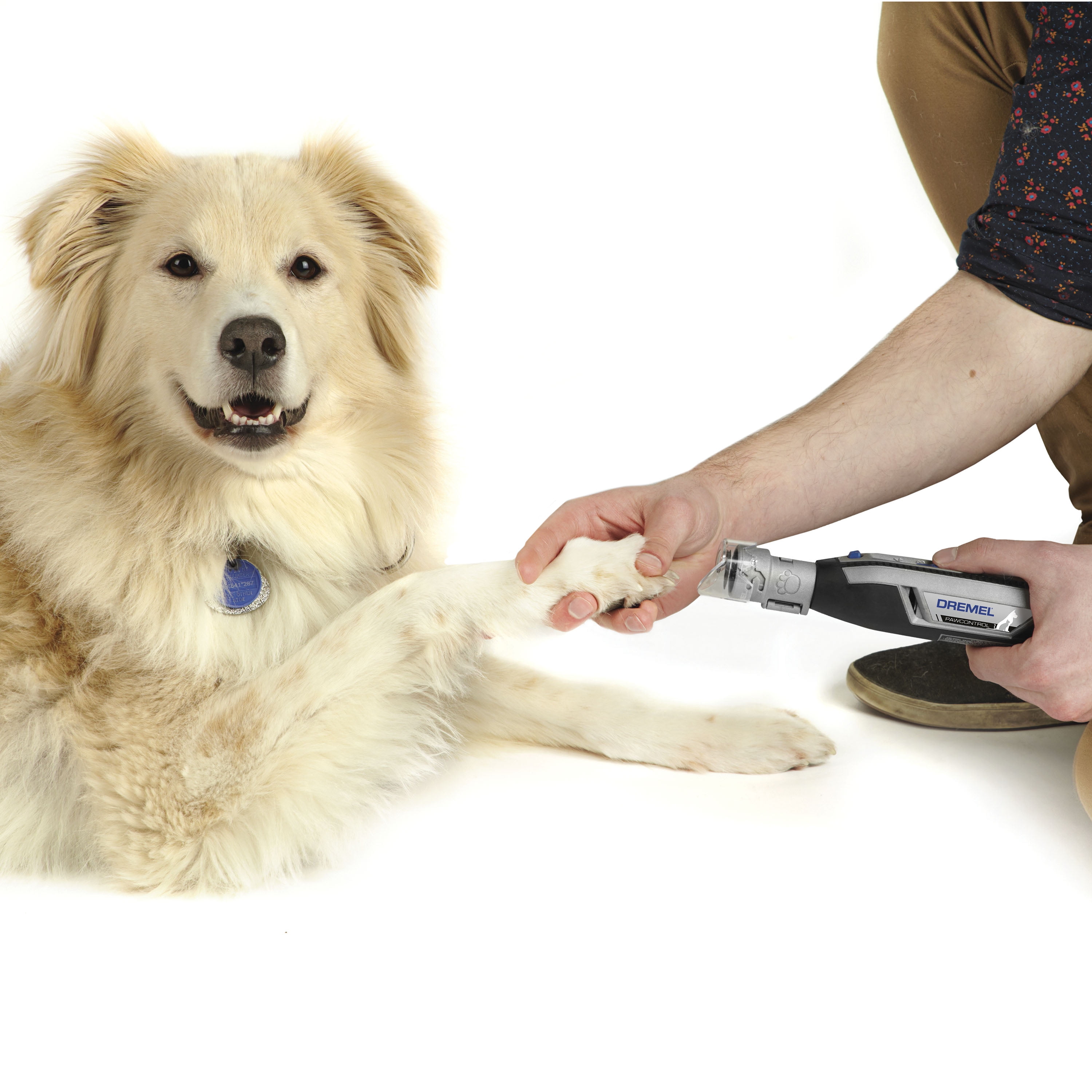 For Dremel Dog Nails