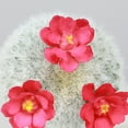 Mainstays 7.6" Artificial Cactus Pick, Green with Hot Pink Flowers ...