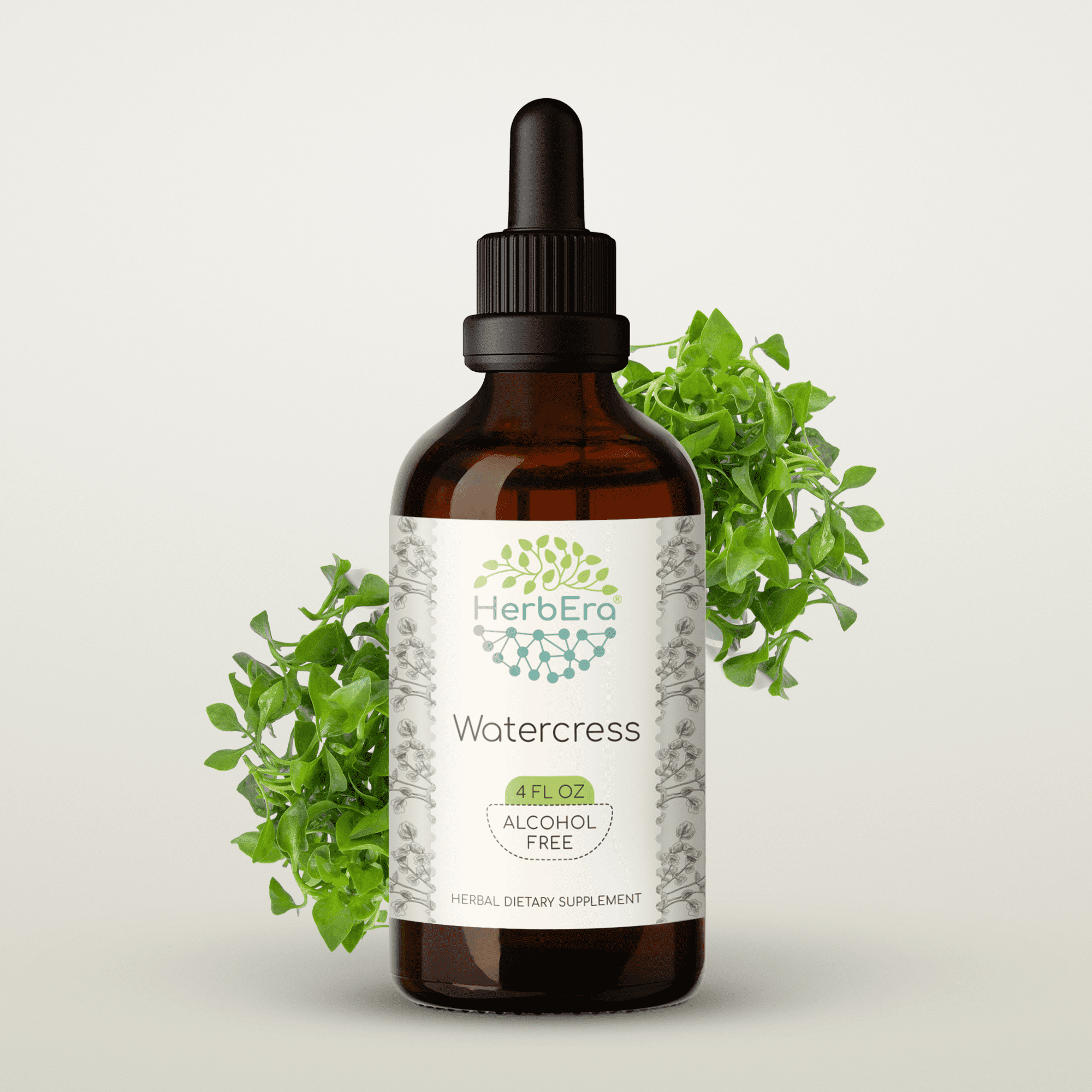 Watercress Alcohol-FREE Herbal Extract Tincture, Super-Concentrated ...