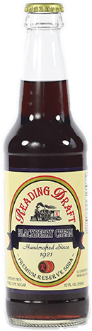 Reading Soda Works Handcrafted Bottled Blackberry Cream Soda, 12-Pack ...