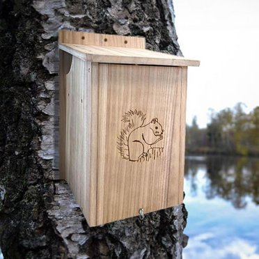 Squirrel House - Walmart.com