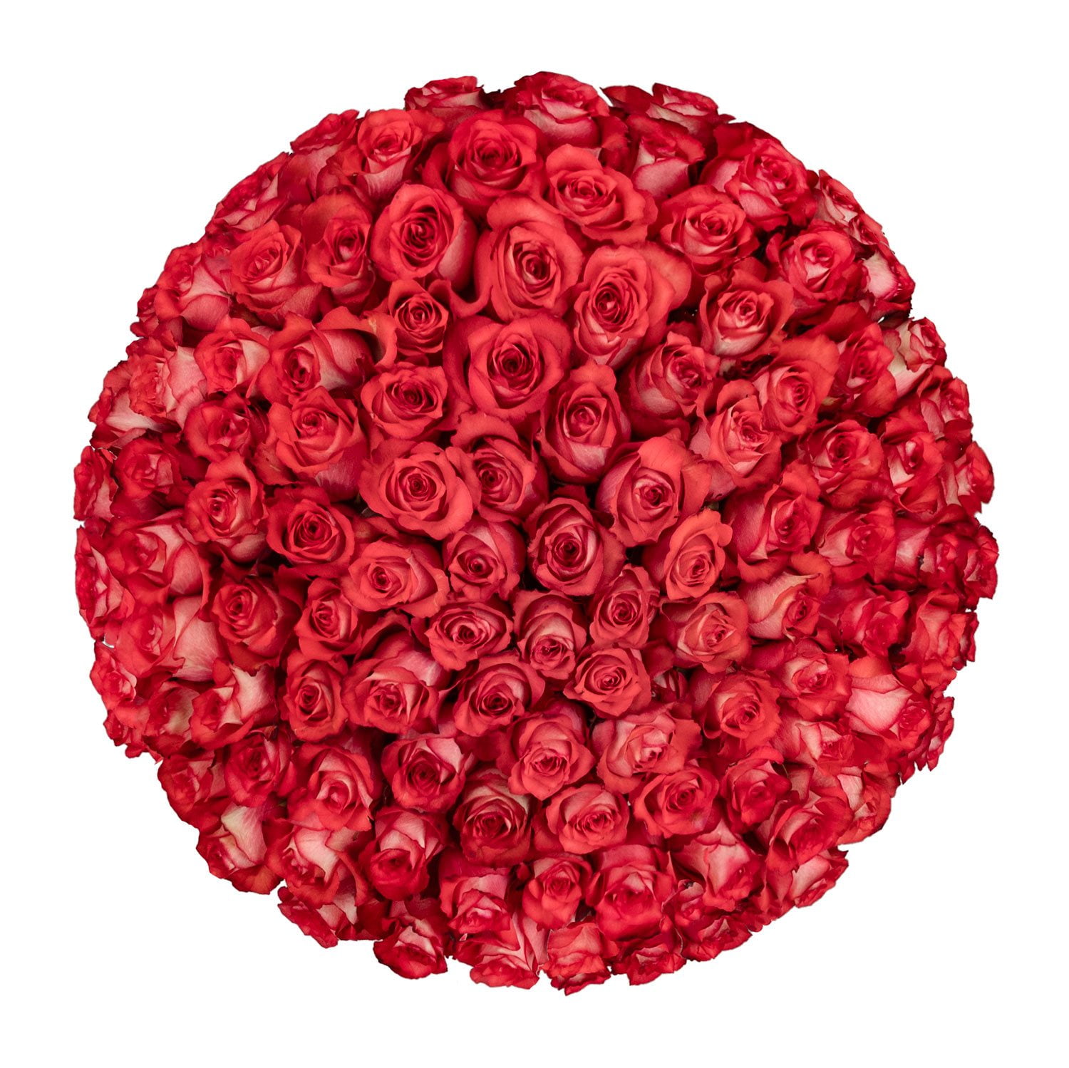 Member's Mark Ecuadorian Premium Roses, choose color variety and stem ...