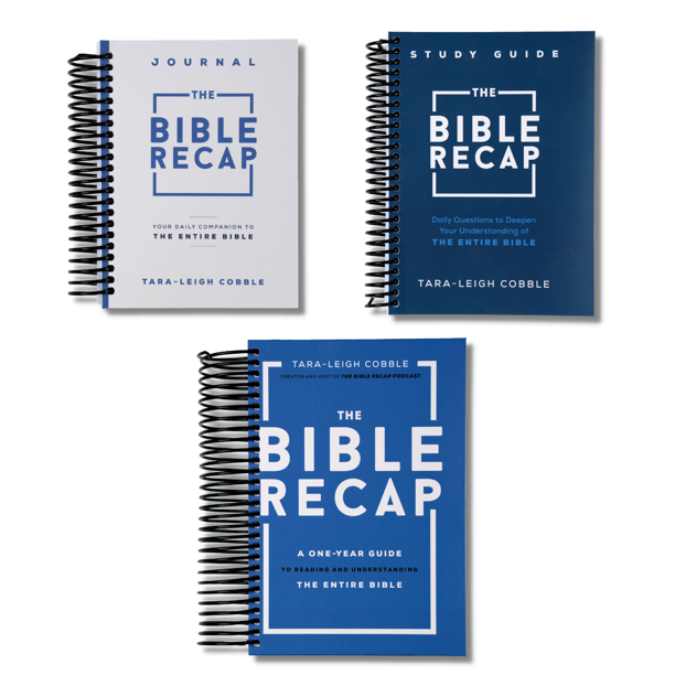 The Bible Recap Three Book Bundle (Spiral-Bound) - Walmart.com