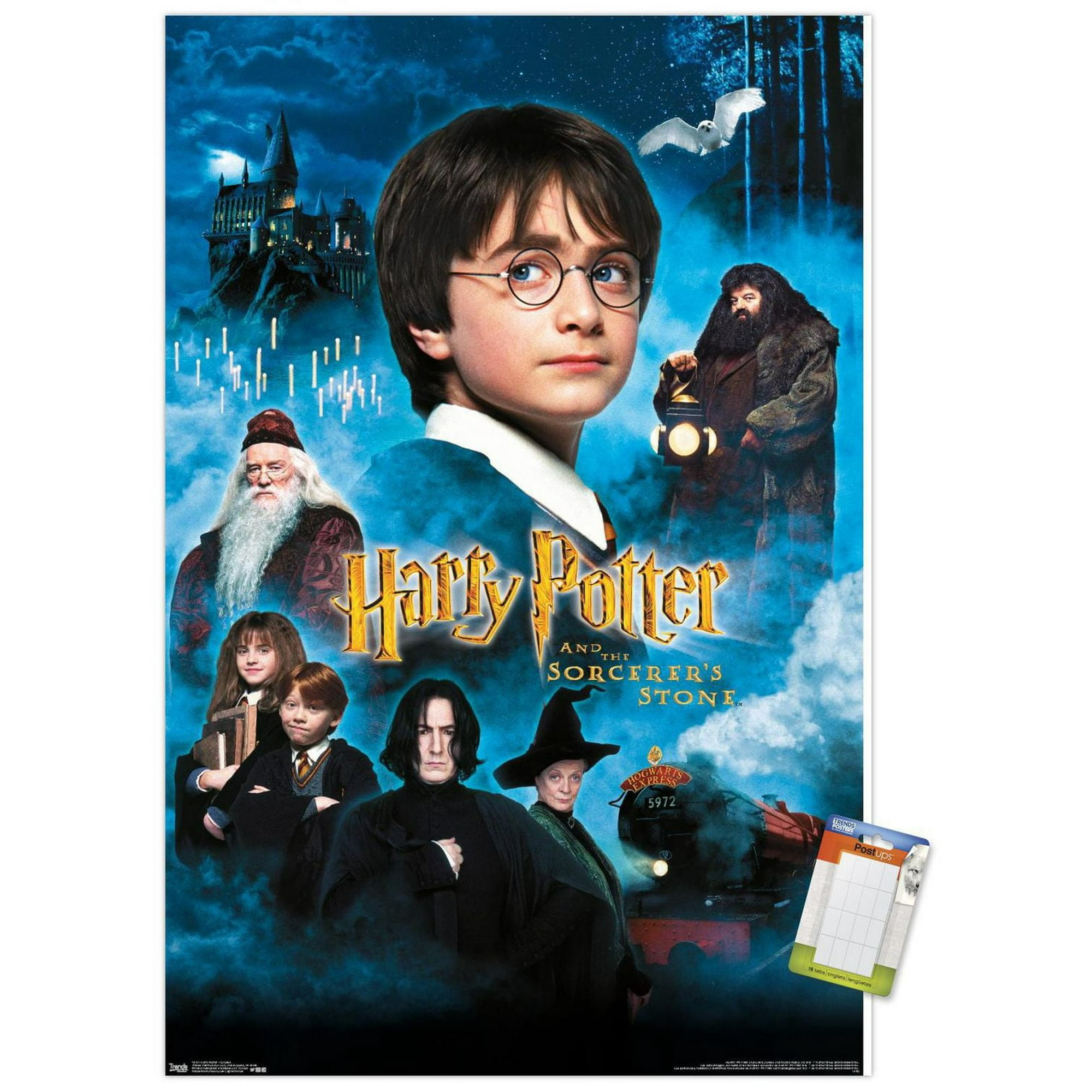 Click here for Trends International Harry Potter And The Sorcerer... prices
