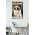 Trends International Grumpy Cat - Fun Poster - Walmart.com