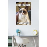 Trends International Grumpy Cat - Fun Poster - Walmart.com