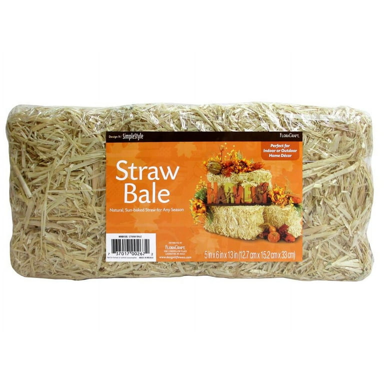 Flora FloraCraft Natural Straw Bale - 6x5x13 Inch Craft & Display ...