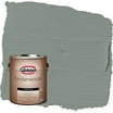 Glidden Fundamentals Gray Heron / Grey Satin Exterior Paint, 1 Gallon ...