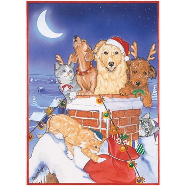 Pipsqueak Productions C492 Mix Dog With Cat Holiday Boxed Cards pipsqueak-productions-c492-mix-dog-with-cat-holiday-boxed-cards