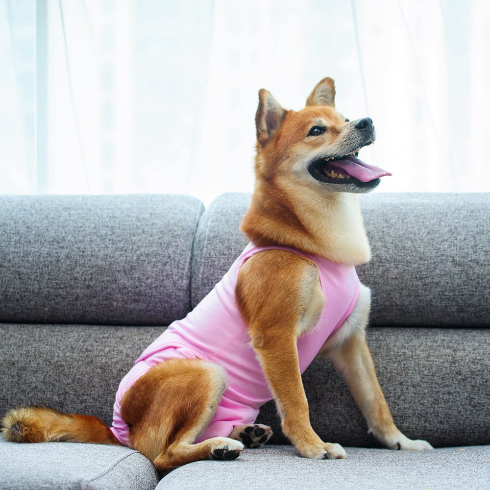 Pet Post Surgery Recovery Gown, Professional Pet Recovery Shirt Dog ...