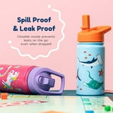 BOZ Kids Water Bottle with Straw Lid, 14 oz, Double Wall Insulated ...