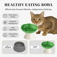 Ceramic Slow Feeder Bowl for Cats and Small Dogs, Elevated Tilted Pet ...