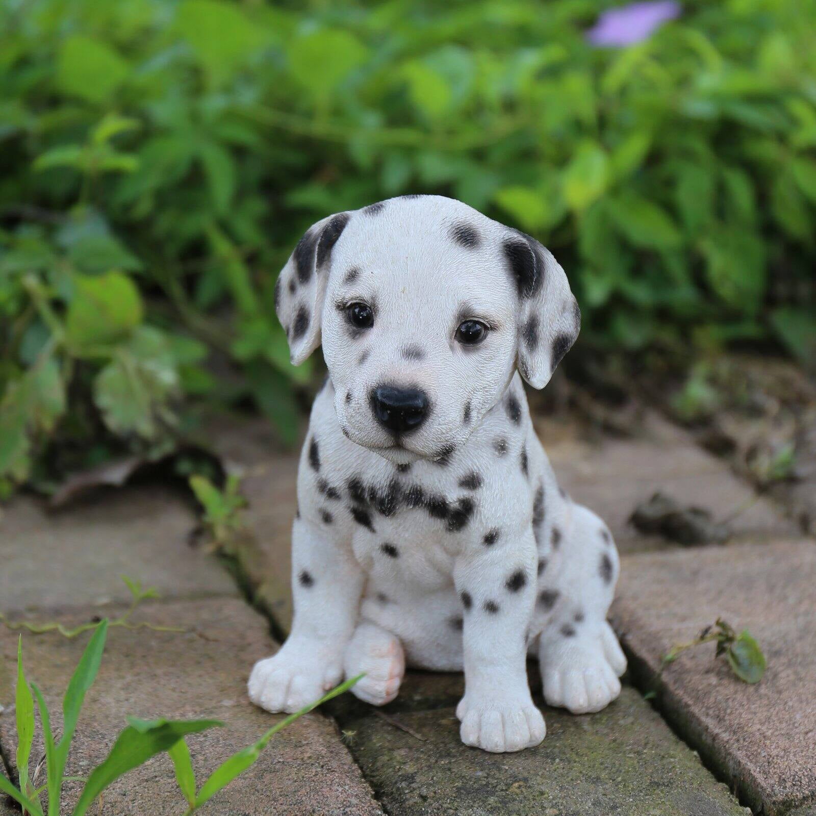 Click here for Hi-Line Gift Ltd Dalmatian Puppy Statue prices