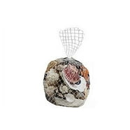 Alabaster Murex Seashell 4-5" - Walmart.com