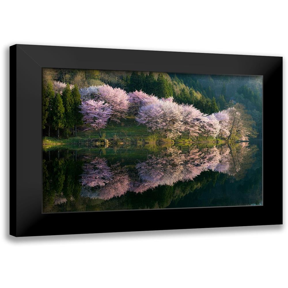Ito, Tatsuki 14x11 Black Modern Framed Museum Art Print Titled - Sakura - Walmart.com