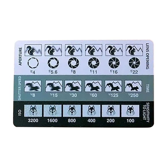 Graph Paper | Walmart Canada