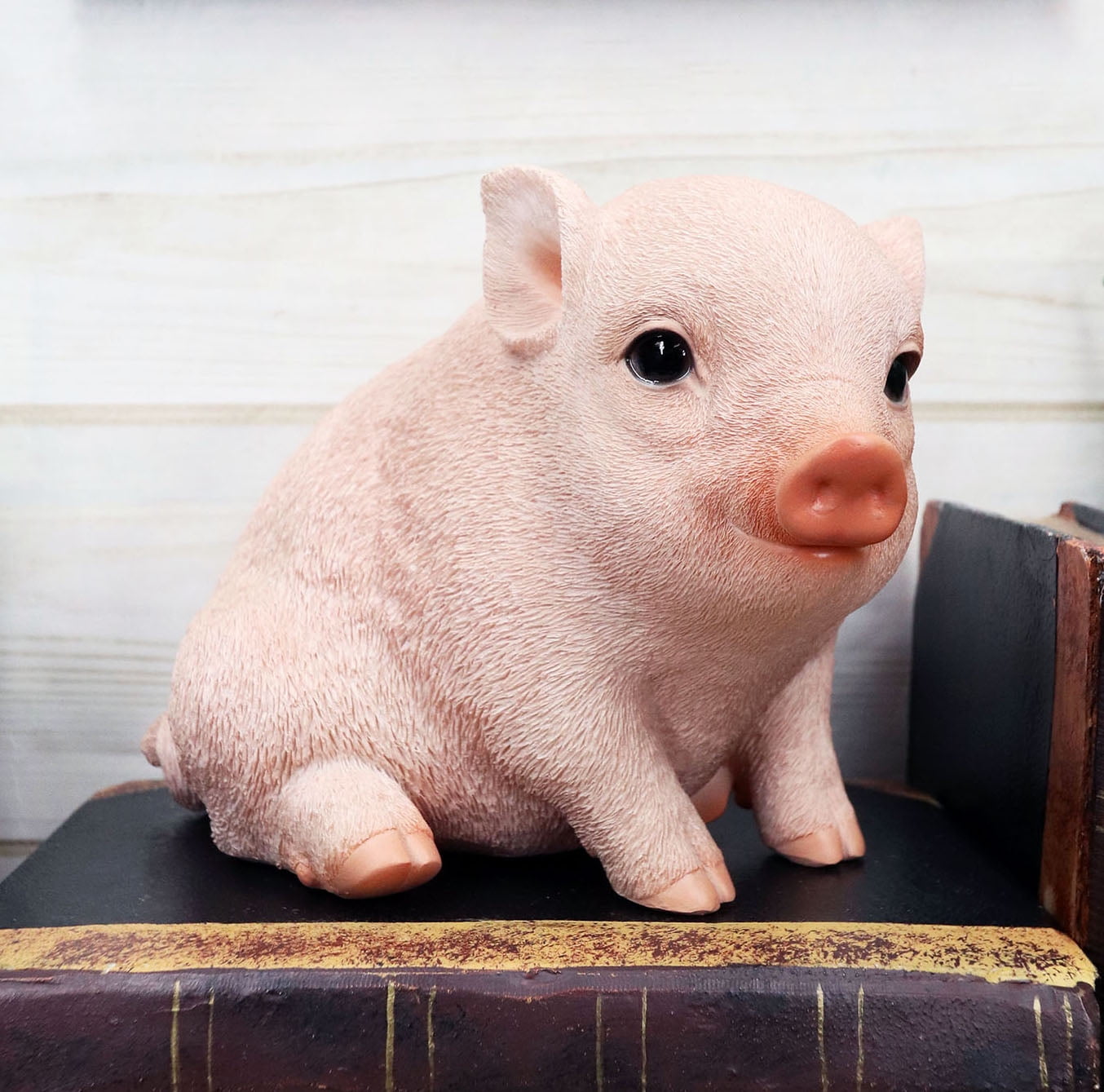 Ebros Rustic Adorable Animal Farm Babe Fat Nude Piglet Pig Sitting ...