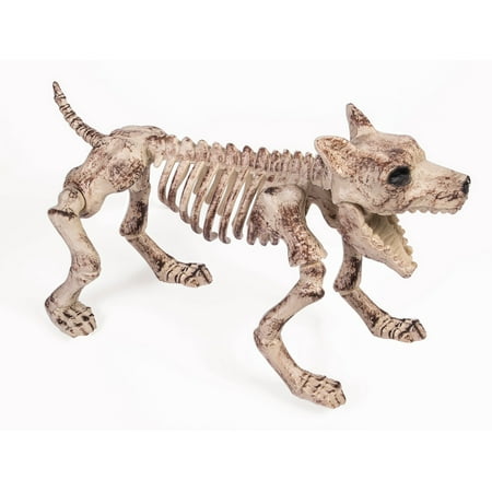 Bone Skeleton Dog Halloween Prop Décor Small | Walmart Canada