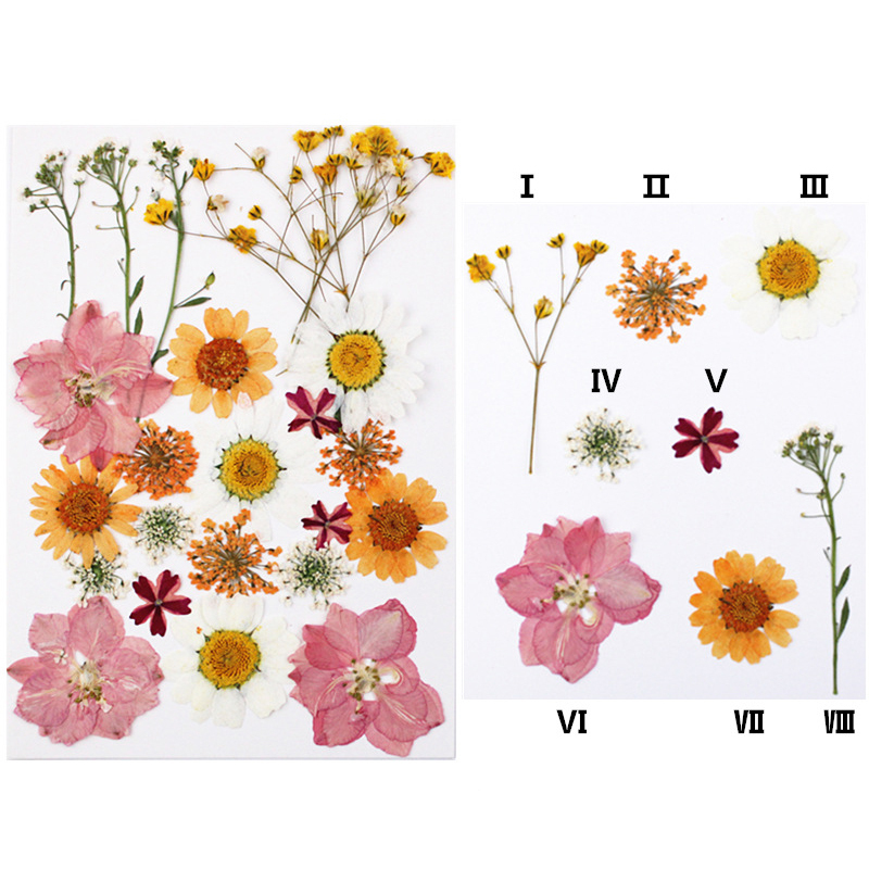 Decorative Eye Dried Flowers Stickers Petal Makeup Bridal Makeup Floral ...