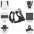 Dog Harness for Small to Large Dogs - color Mark Print No Pull Pet ...