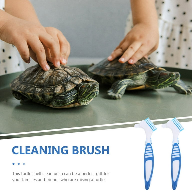 Turtle Shell Removed