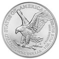 2025 American Silver Eagles (20-Coin MintDirect® Tube) - Walmart.com