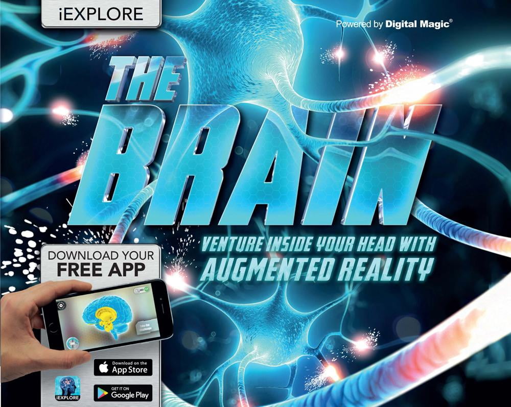 The Brain : Venture Inside Your Head with Augmented Reality - Walmart.com