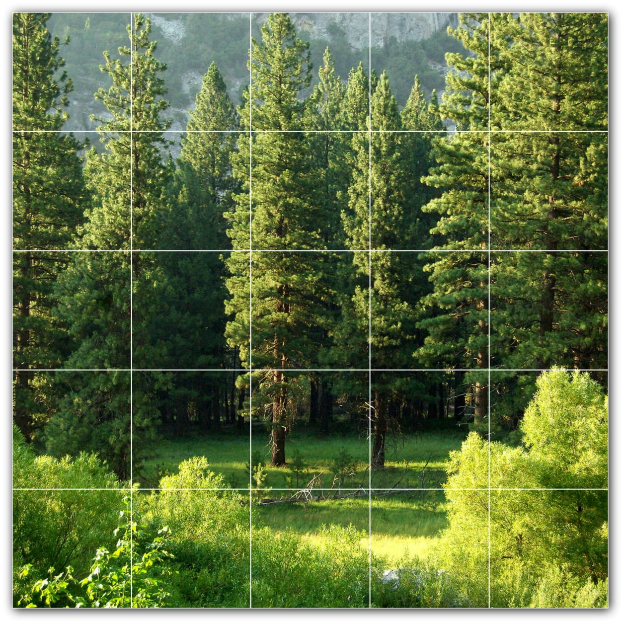 Picture-Tiles.com: Trees Ceramic Tile Wall Mural WAL501020-55M. 30"W x ...