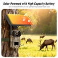 4G/5G LTE 1920P Cellular Trail Camera – Solar-Powered Wildlife Camera ...