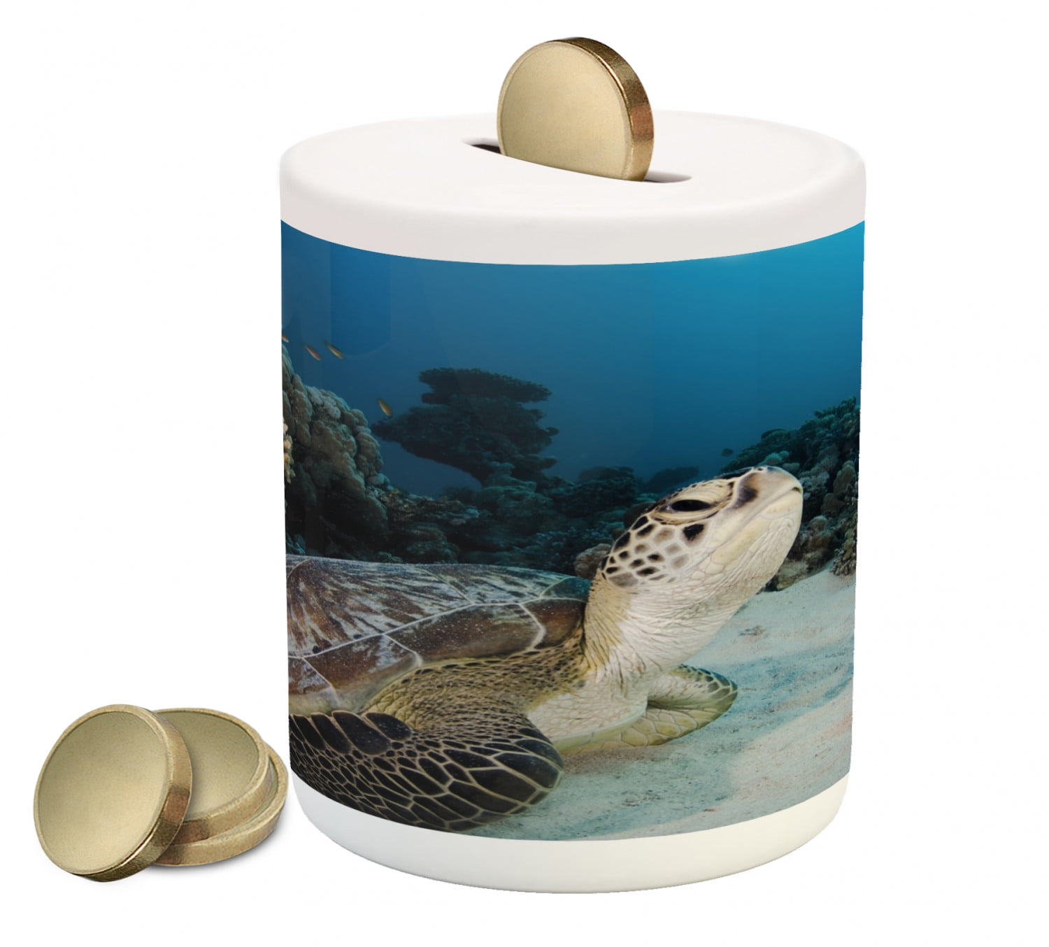 Turtle Piggy Bank, Underwater Sea Animal on Coral Reef in Red Sea Egypt ...