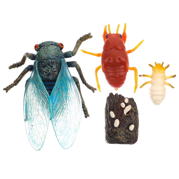 Insect Lore Honey Bee Life Cycle Stages Science Model - Walmart.com